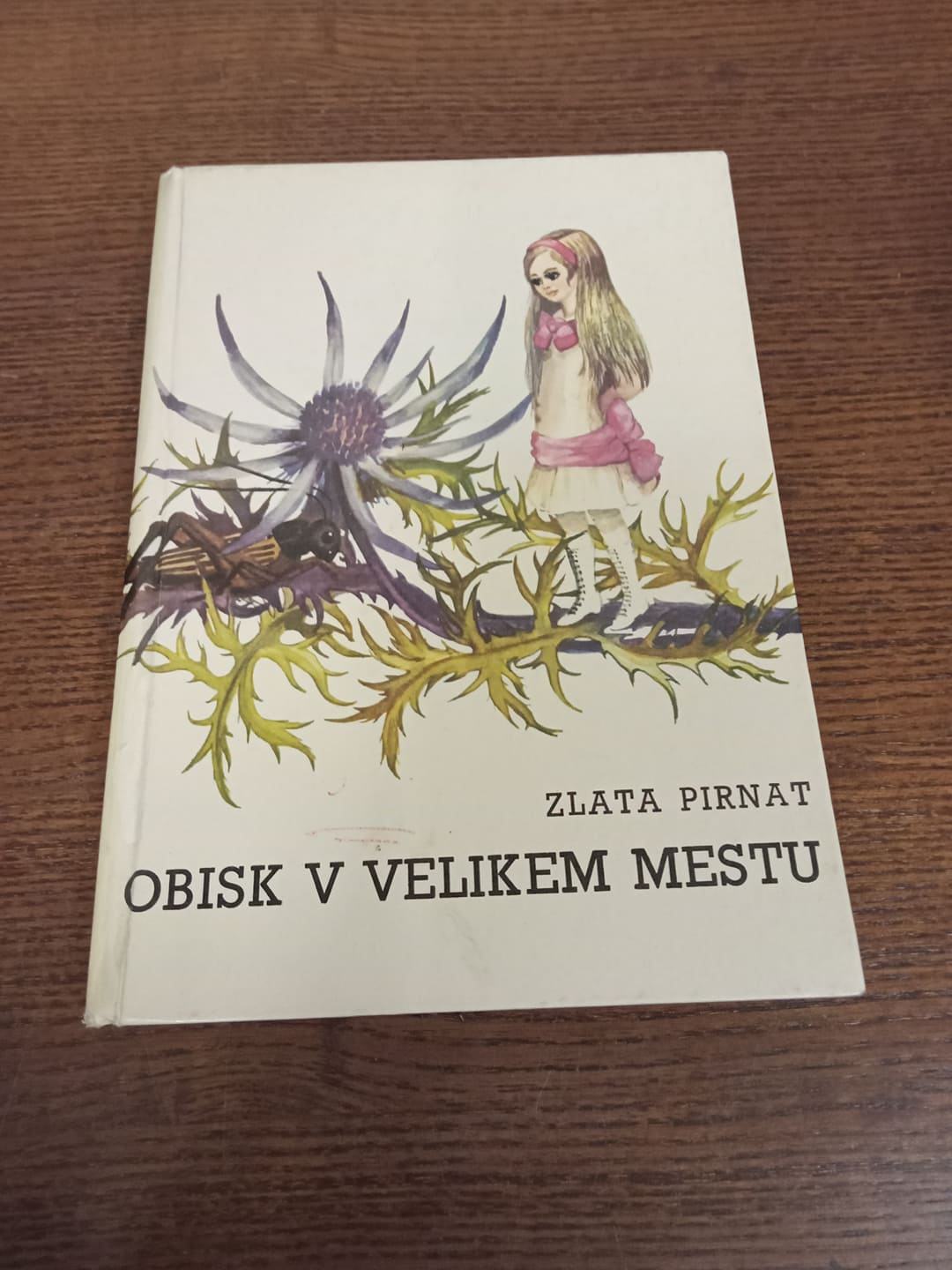 OBISK V VELIKEM MESTU