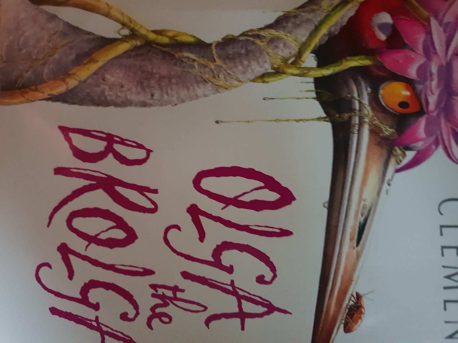 Olga the Brolga by Rod Clement