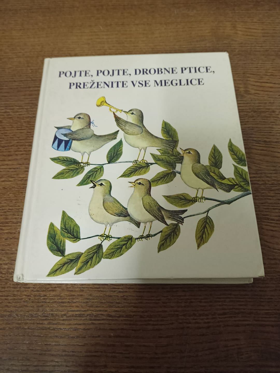 POJTE, POJTE DROBNE PTICE PREŽENITE VSE MEGLICE