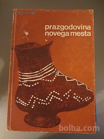 PRAZGODOVINA NOVEGA MESTA