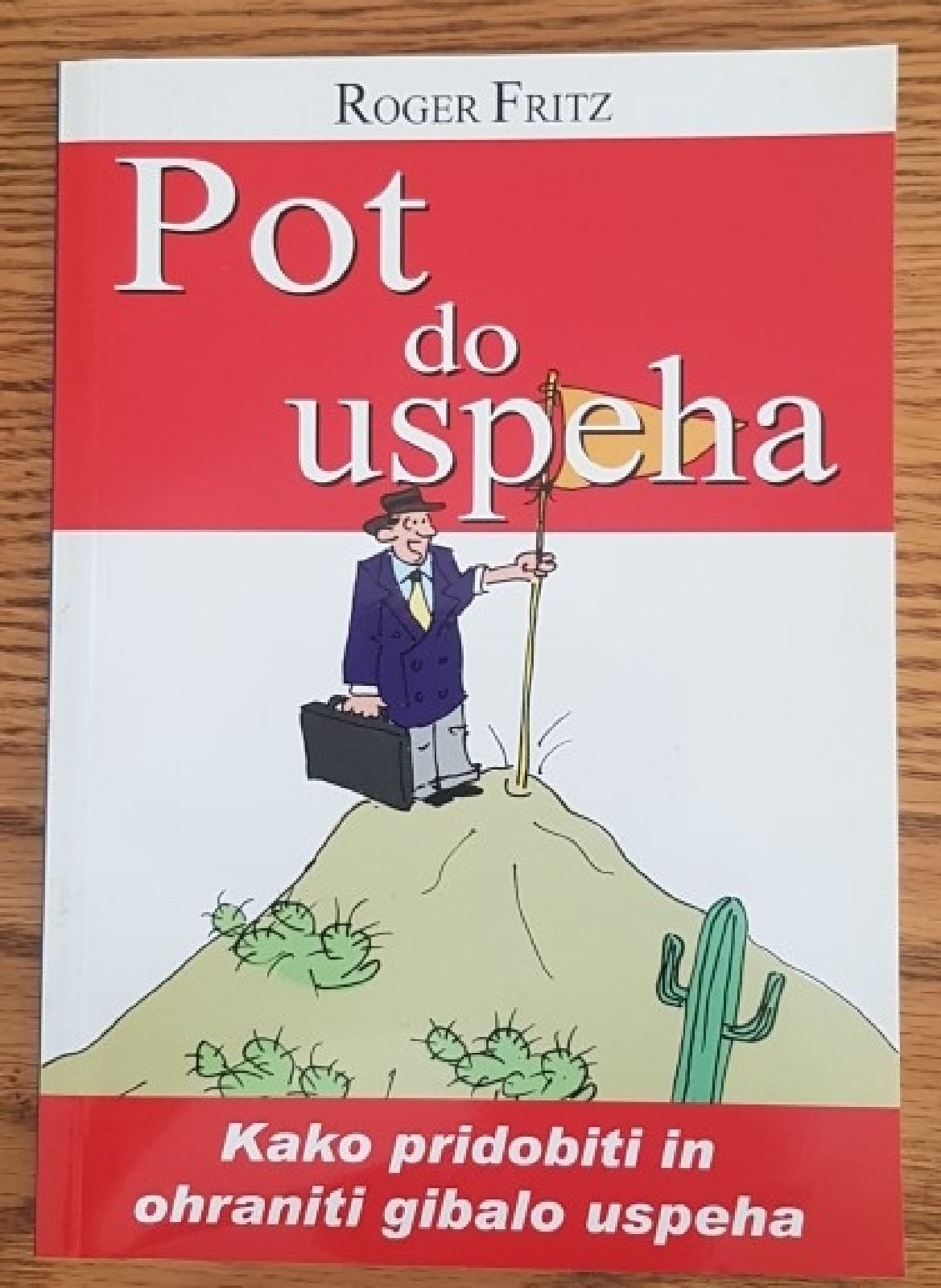 Roger Fritz: Pot do uspeha