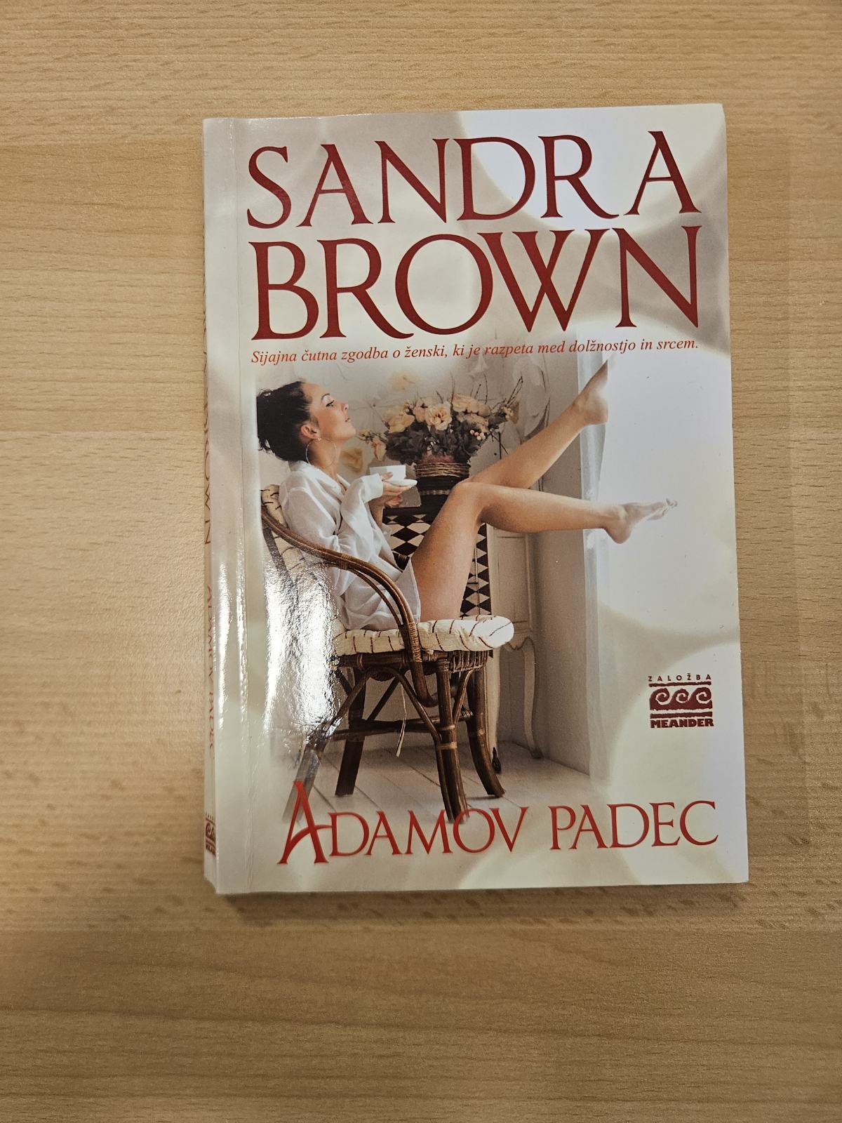 Sandra Brown - Adamov padec