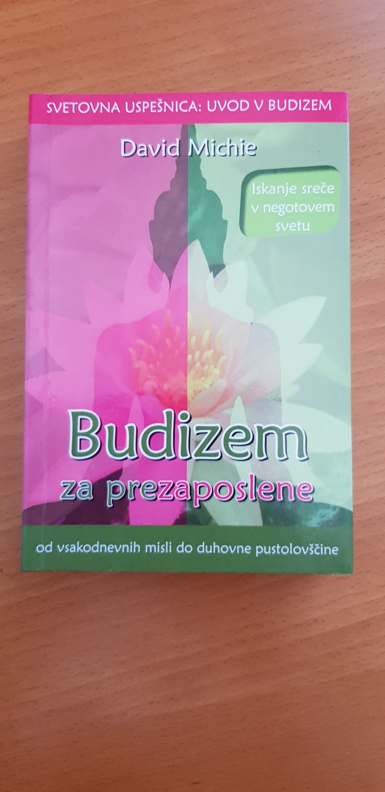 BUDIZEM ZA PREZAPOSLENE (David Michie)