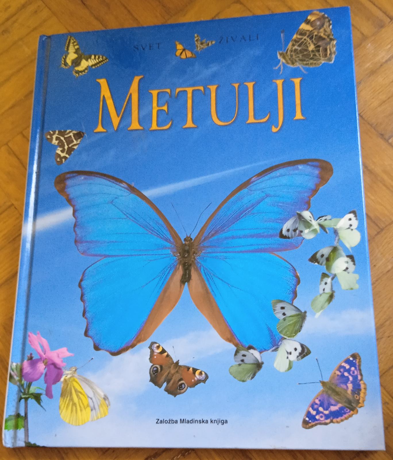 SVET ŽIVALI: METULJI