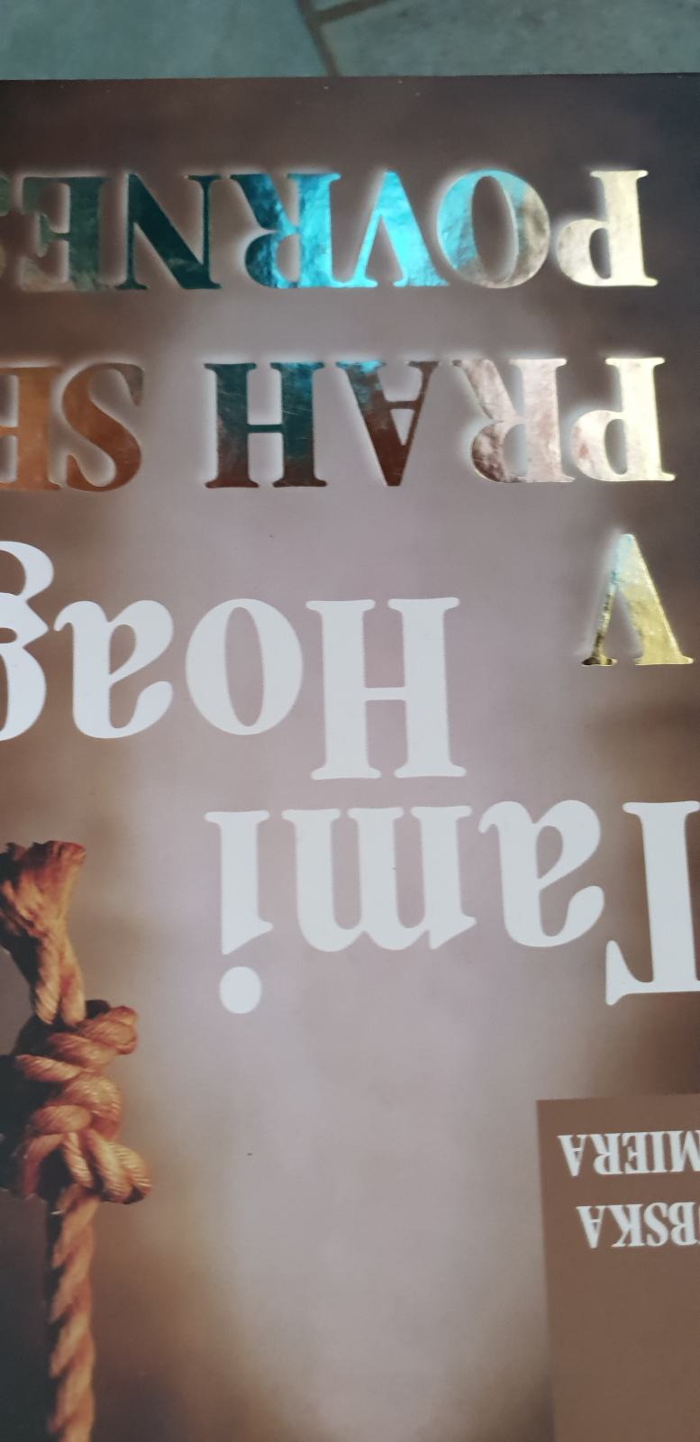 TAMI HOAG, V PRAH SE POVRNEŠ