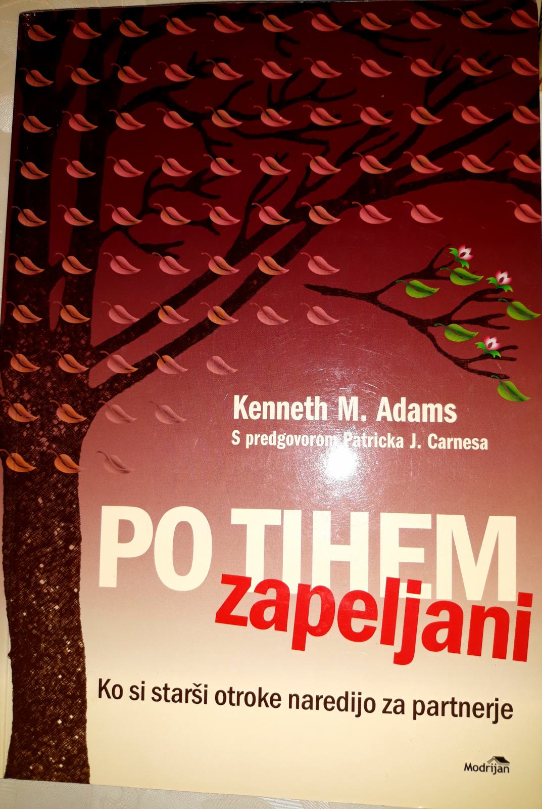 Po tihem zapeljani - Kenneth M.Adams (KO SI STARŠI OTROKE NAREDIJO ZA)