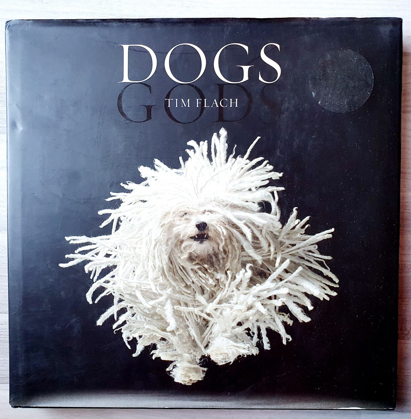 Tim Flach DOGS