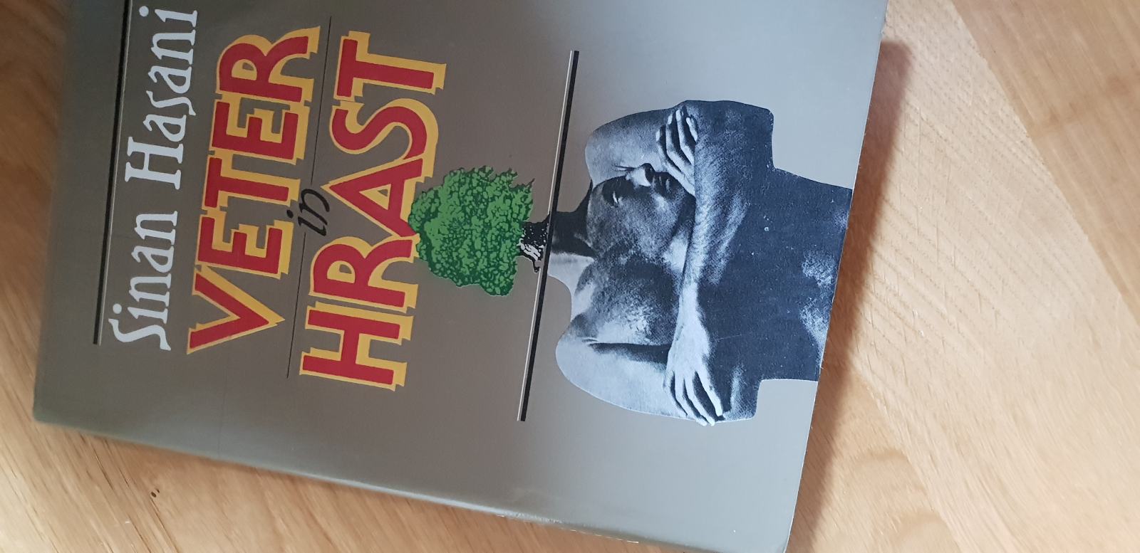 VETER IN HRAST - SINAN HASANI