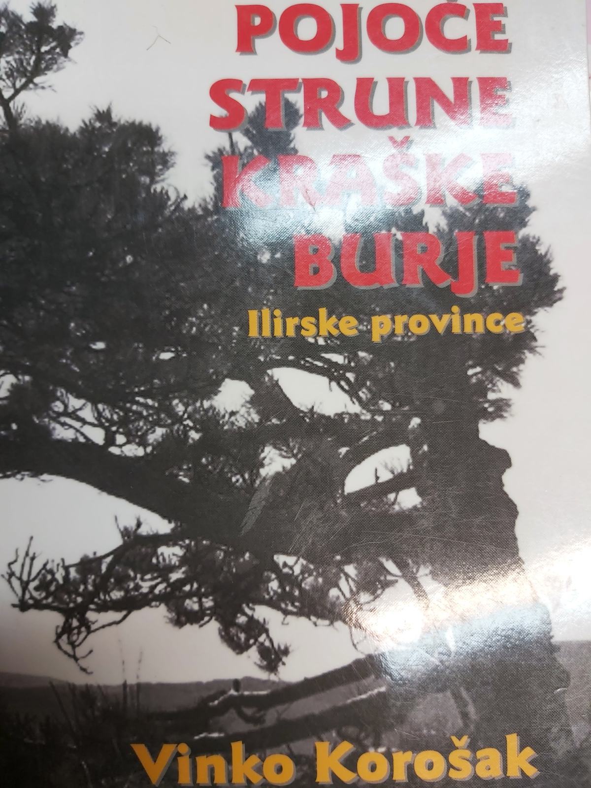 VINKO KOROŠAK POJOČE STRUNE KRAŠKE BURJE