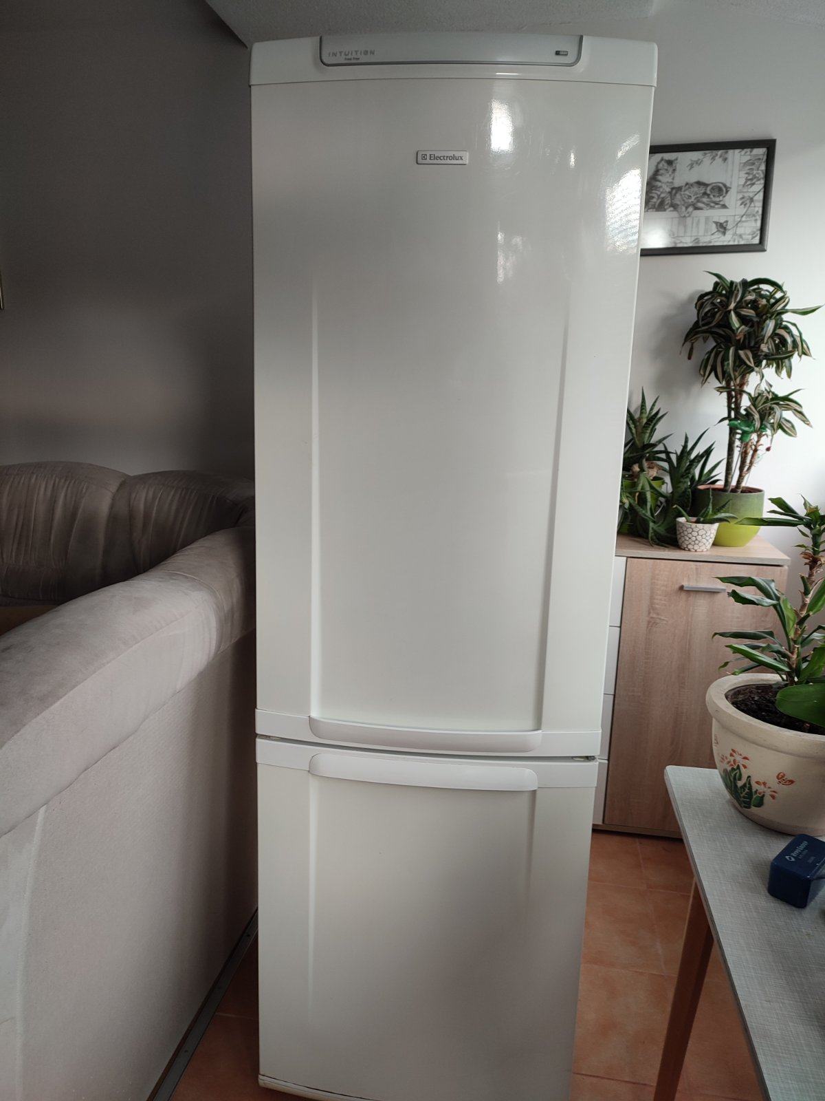 Ugodno prodamo hladilnik Electrolux Intuition