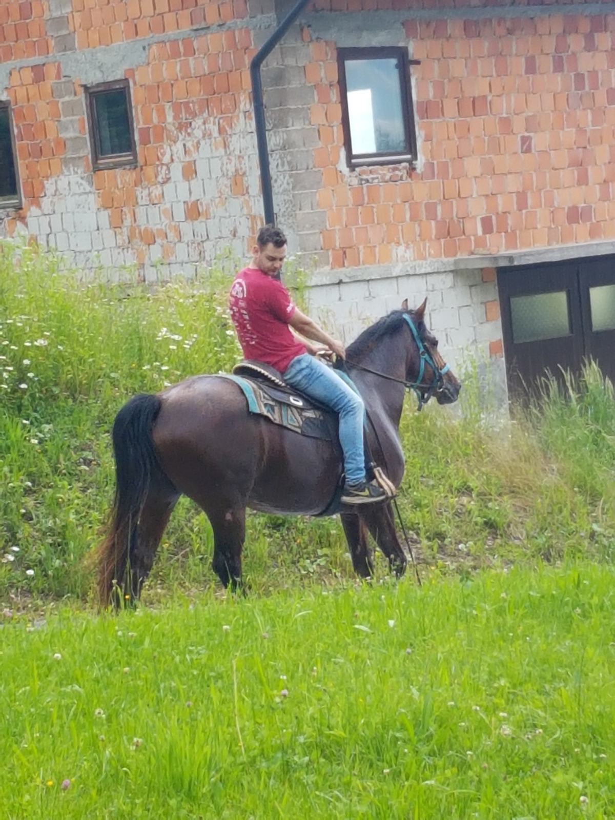 Kastrat