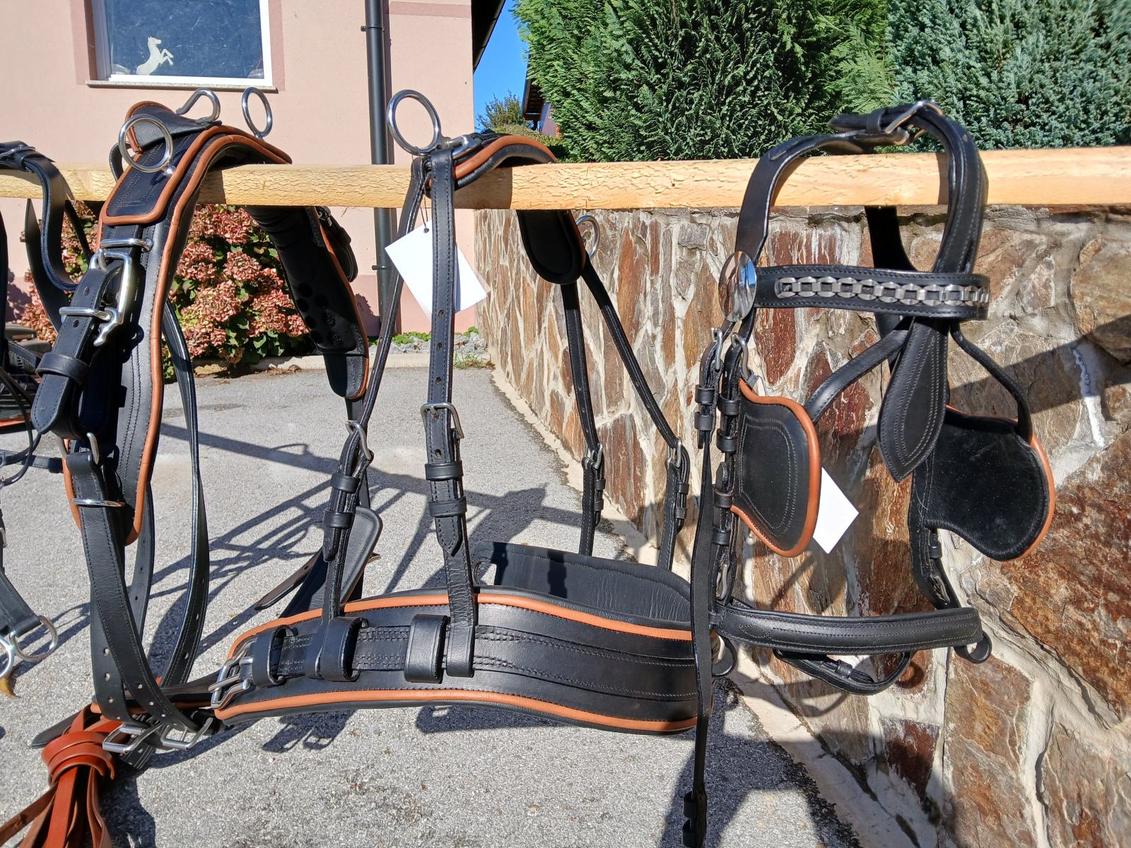 MINI SHETY ENOVPREGA