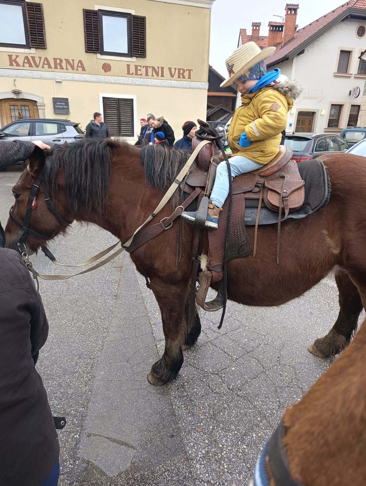 Prodam kobilo posavko