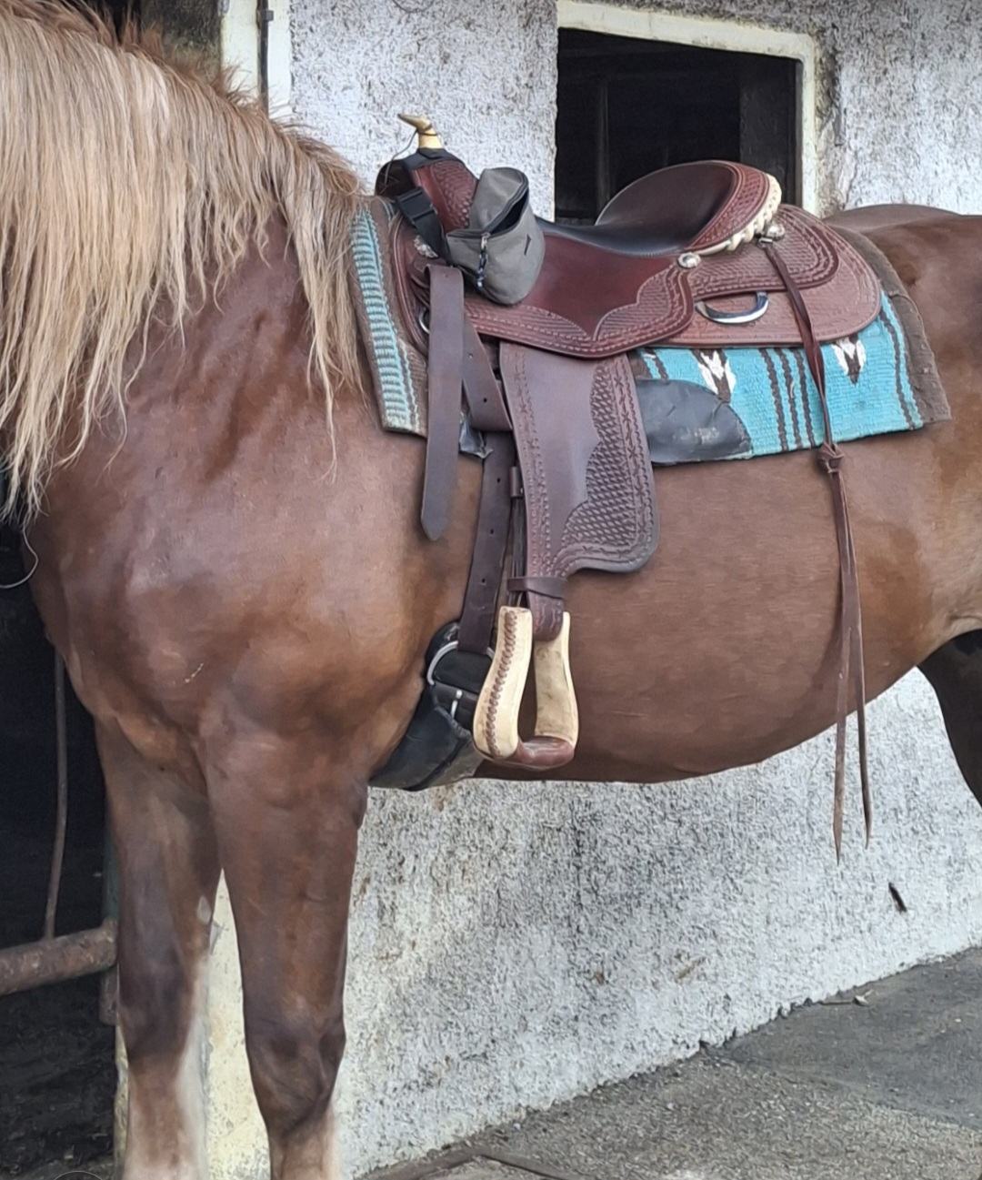 Prodam western sedlo