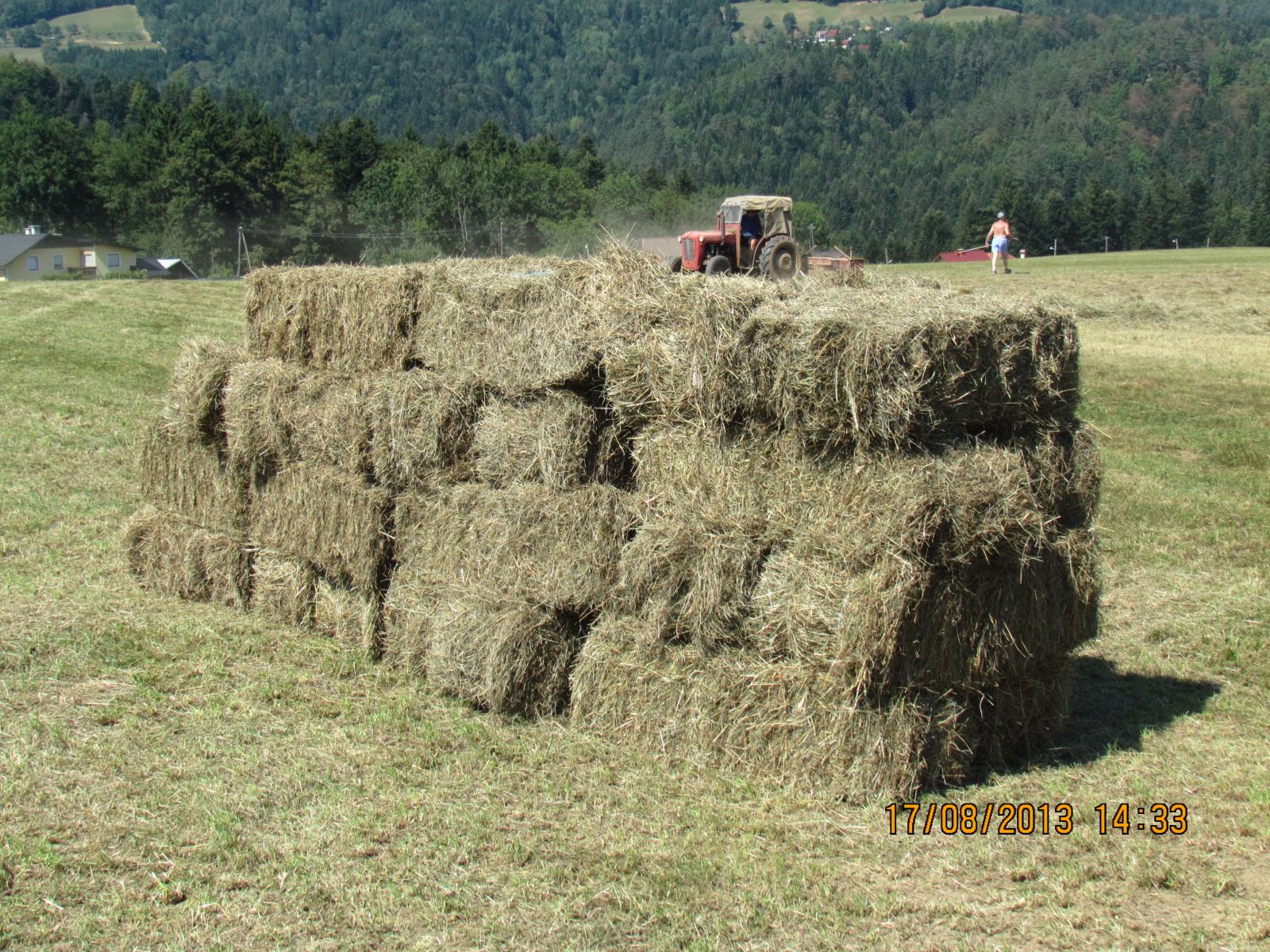 KOCKASTE BALE 200 kom.
