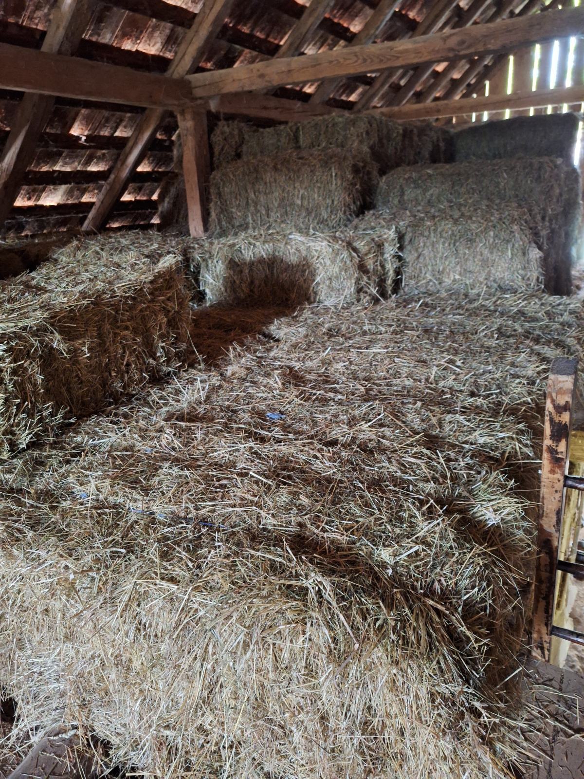 Kockaste bale sena in otave