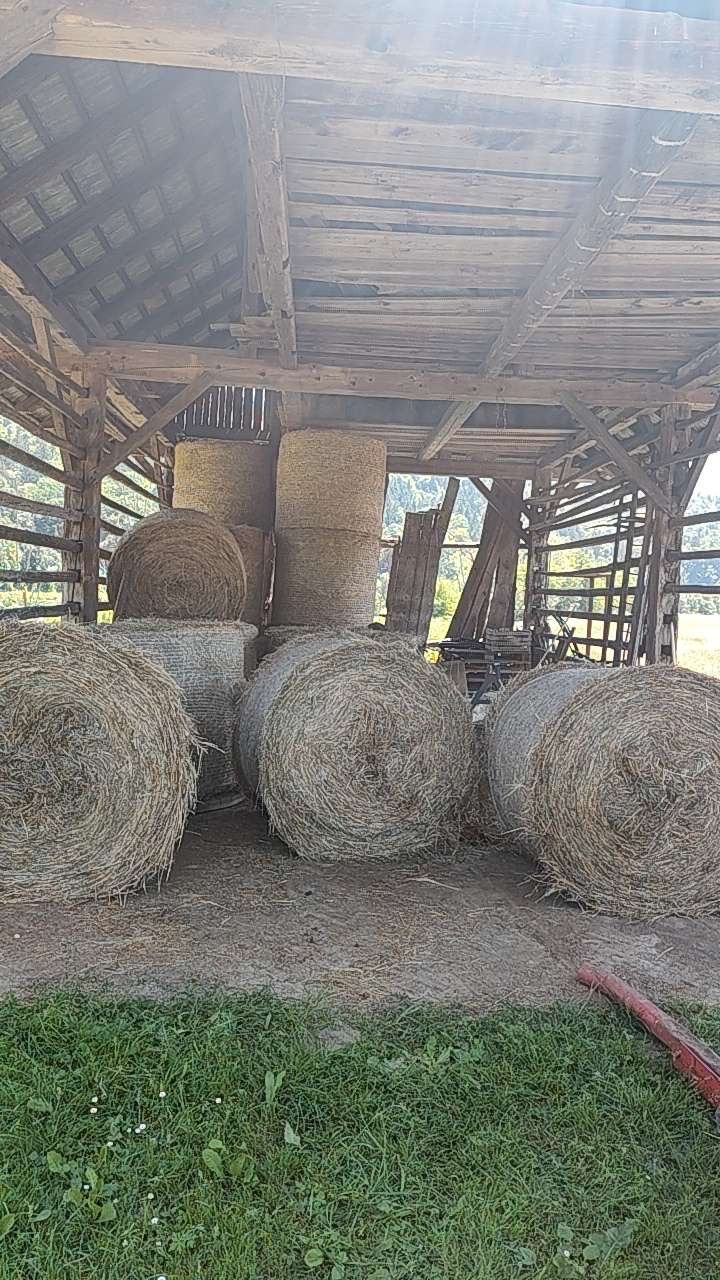 Okrogle suhe bale sena/otave