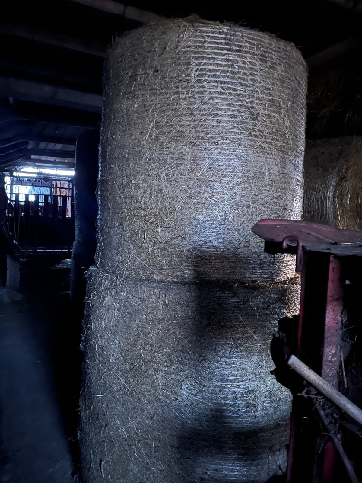 Suhe in silažne bale