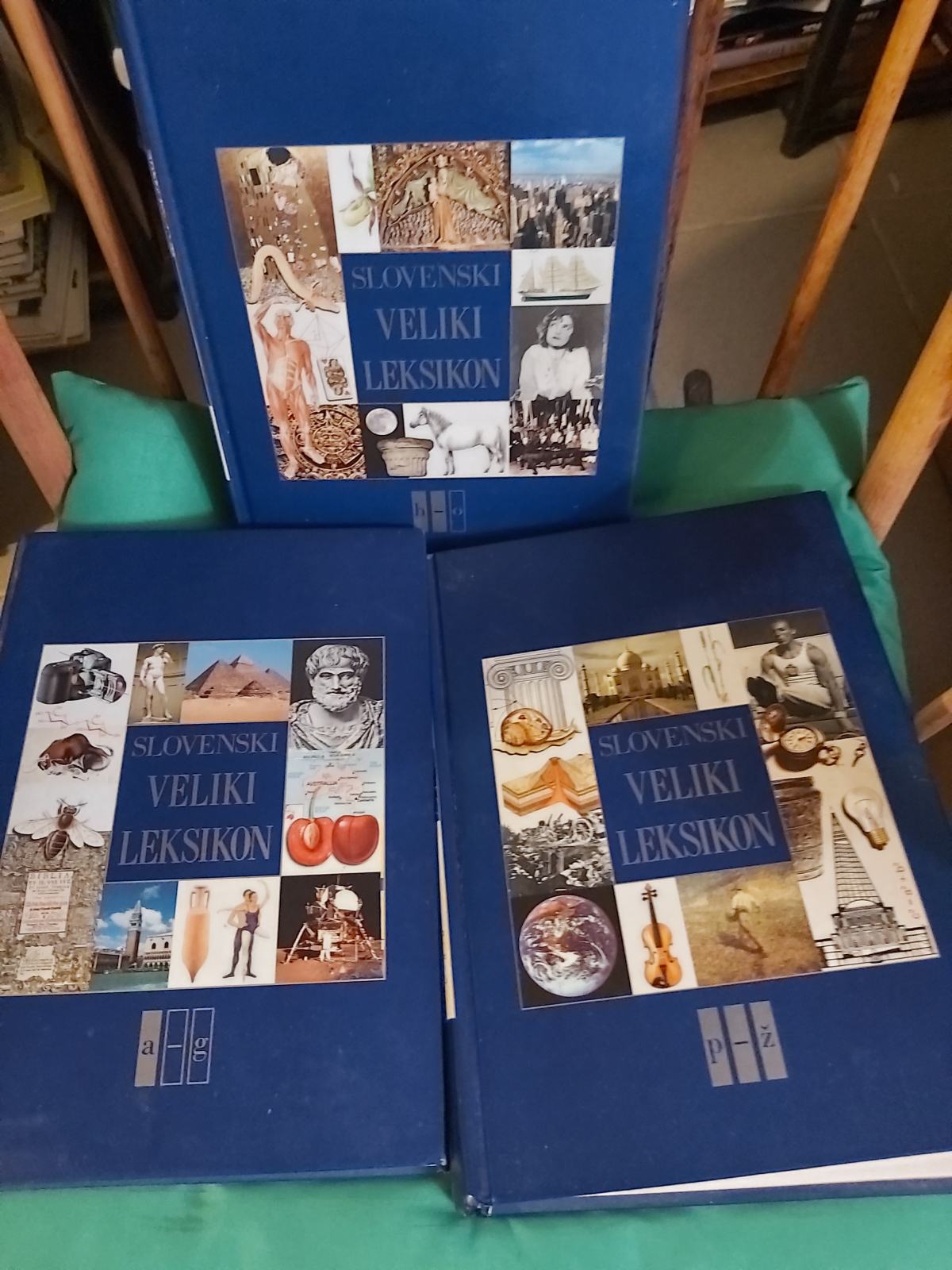 SLOVENSKI VELIKI LEKSIKON