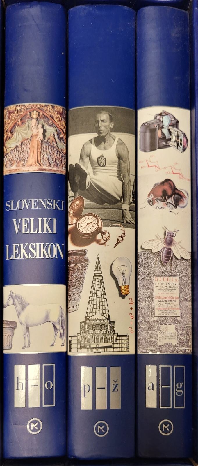 Slovenski veliki leksikon