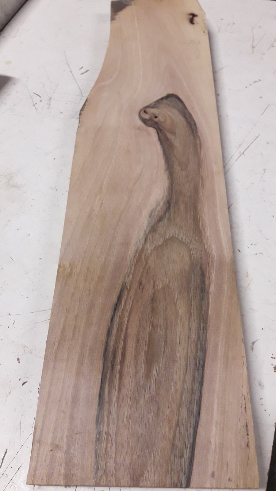 Les oreh, 30 let star, 54x13,7x2,4 cm, za lepe izdelke