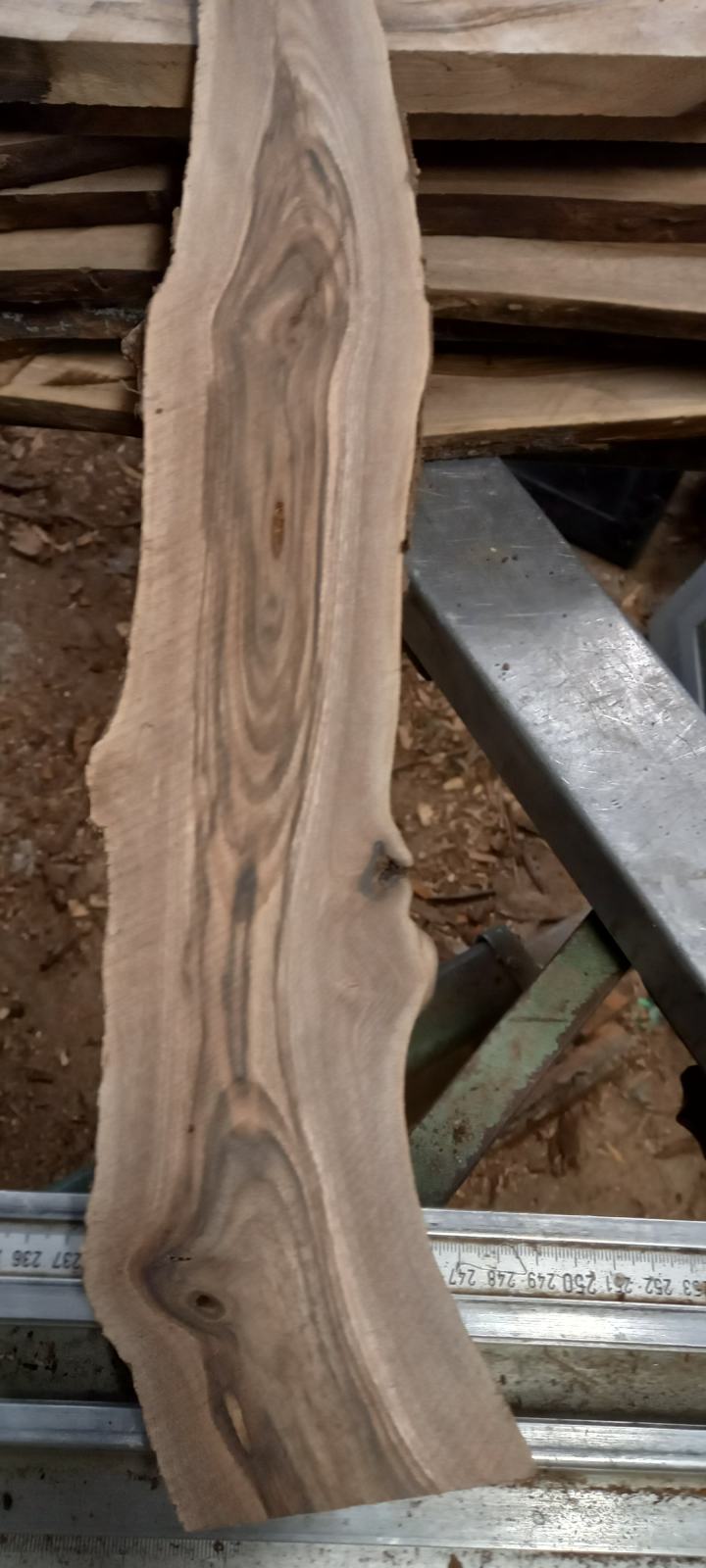 Les oreh, dolžine od 50 do 130 širine od 6 do 12 in debeline 2 cm suh