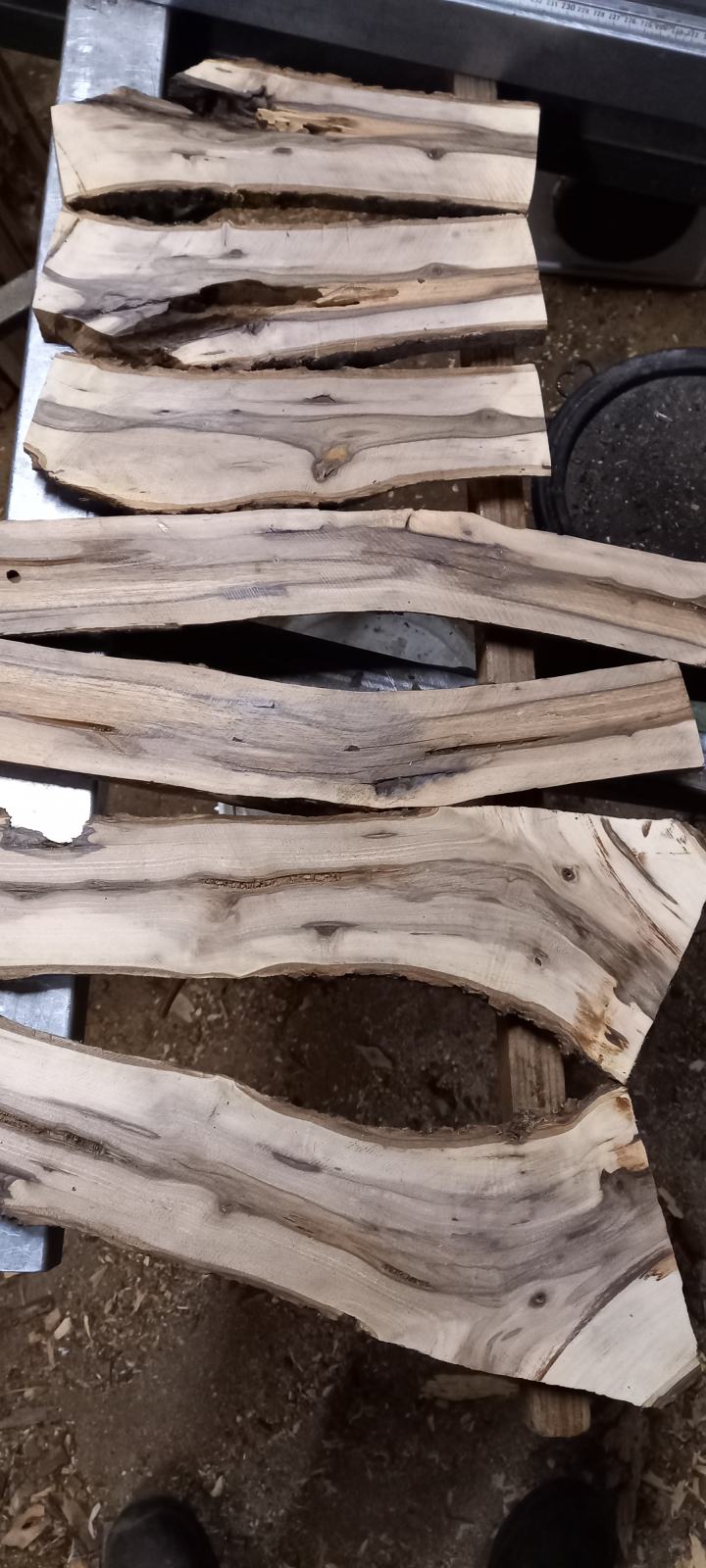 les oreh, suh, 29 do 42 x 6 do 8 x 2 cm, 1 kos 1,50 vseh 7 je 7 euro