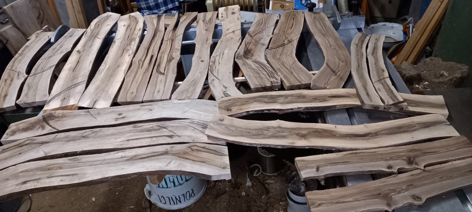 les oreh, suh, 46 do 70 x 6 do 10 x 2 cm, 1 kos 3 vseh 20 je 40 euro