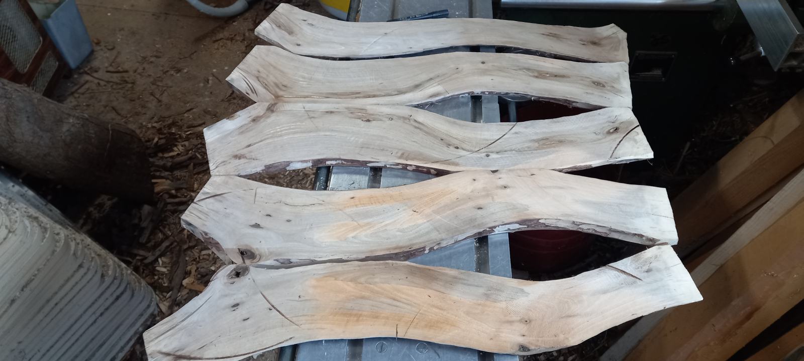 Les oreh, suh, 74x14x2cm, cena 3 euro, 5 kosov 12,50 euro.