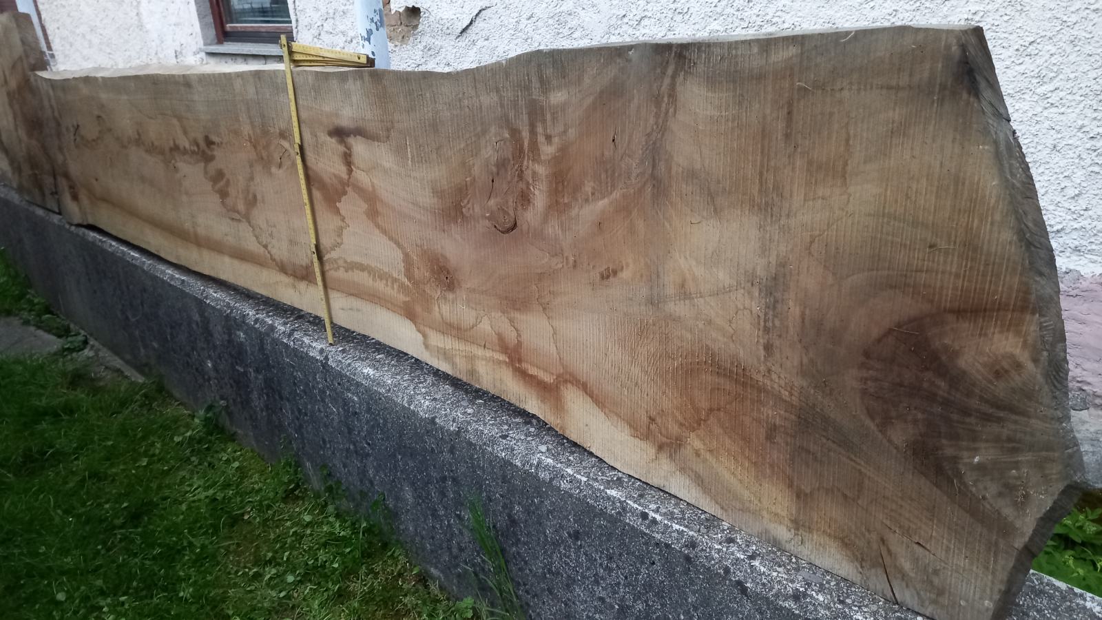 Oreh, les dolžina 286 širina 50 debelina 5 cm, star 30 let