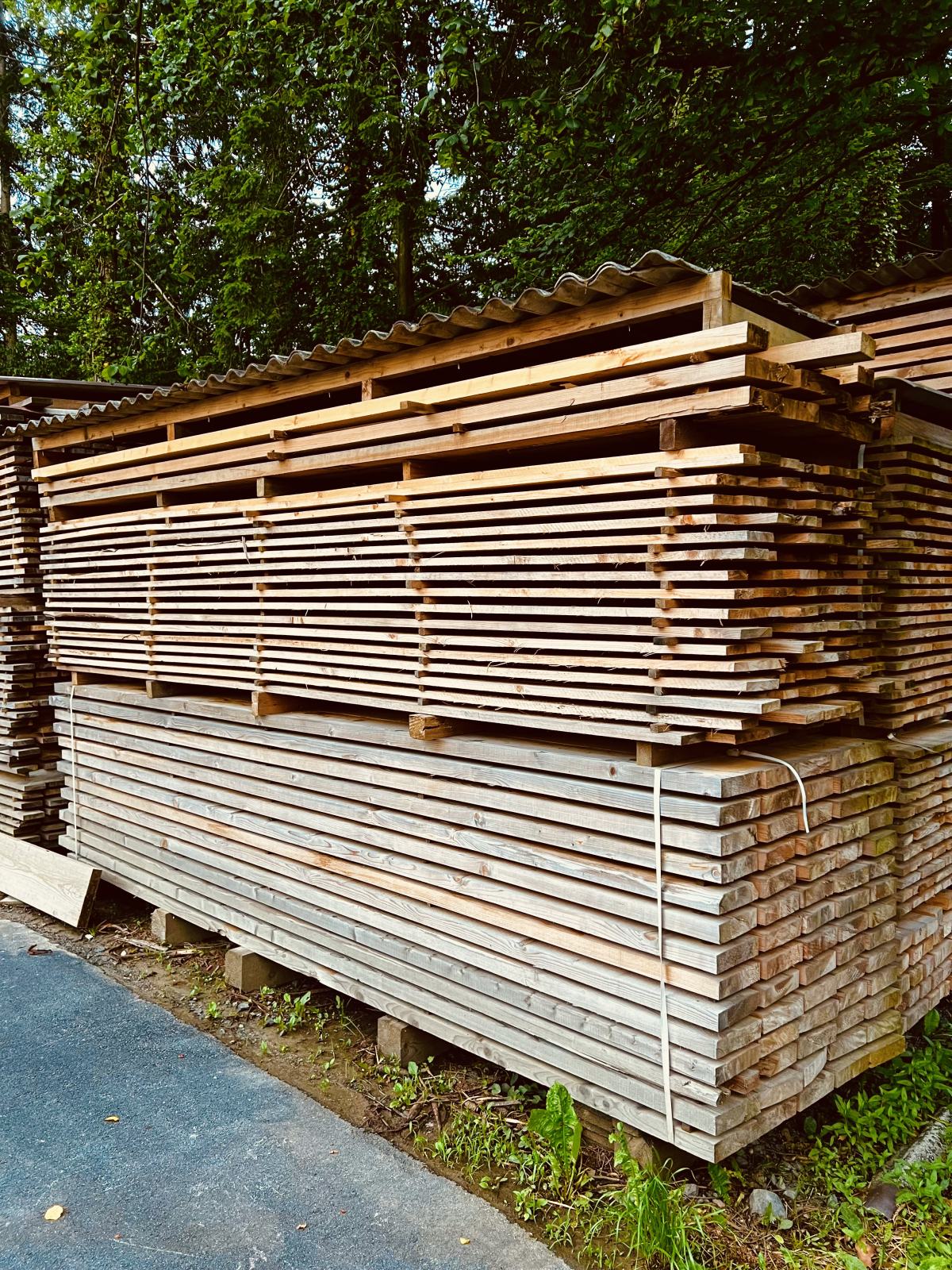 Smrekov les fosni (plohi) deske