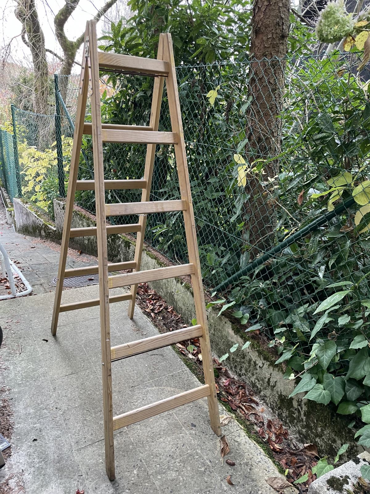 Lestev, lesena A - 2m