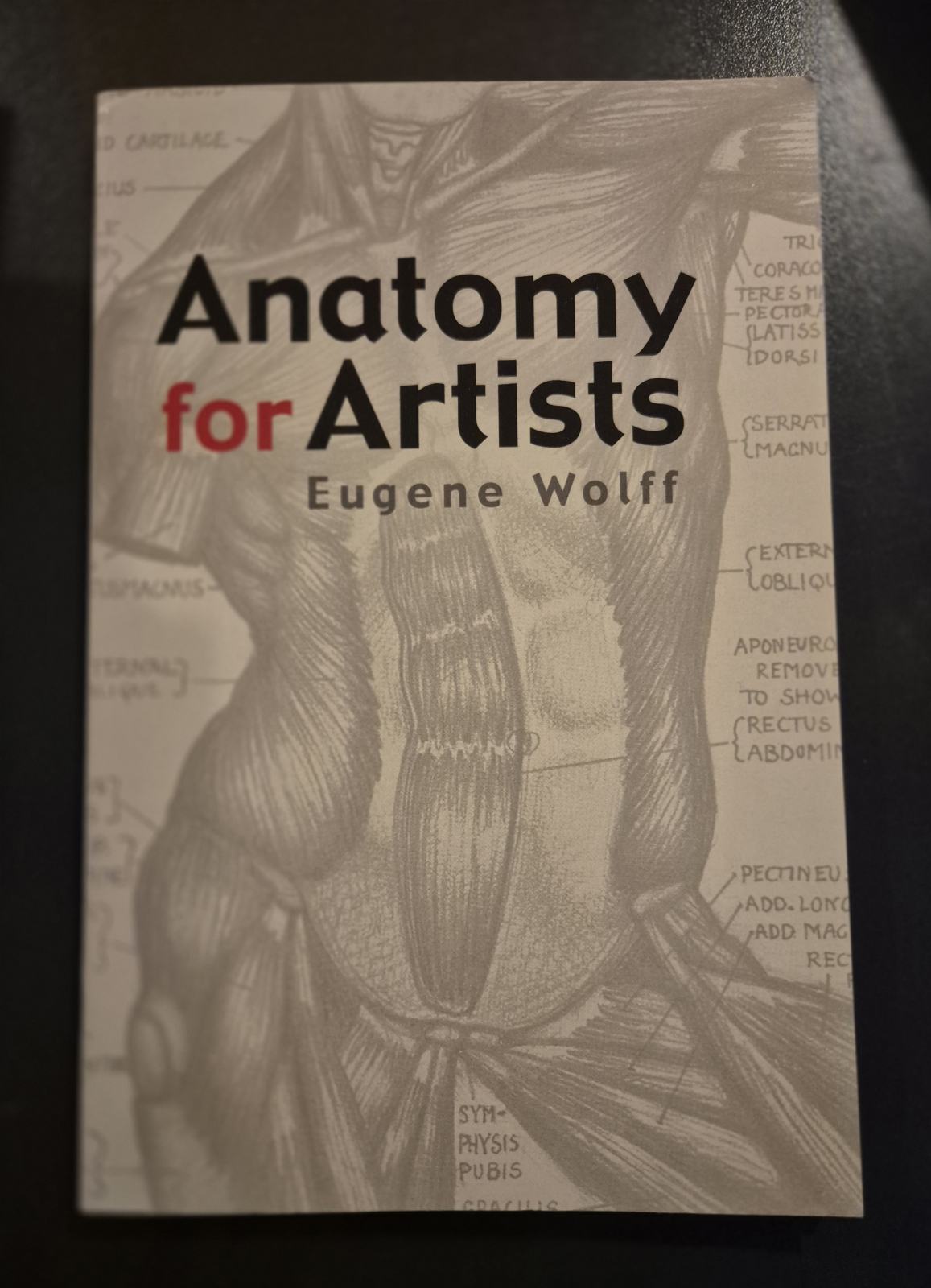 Anatomy for Artists by Eugene Wolff