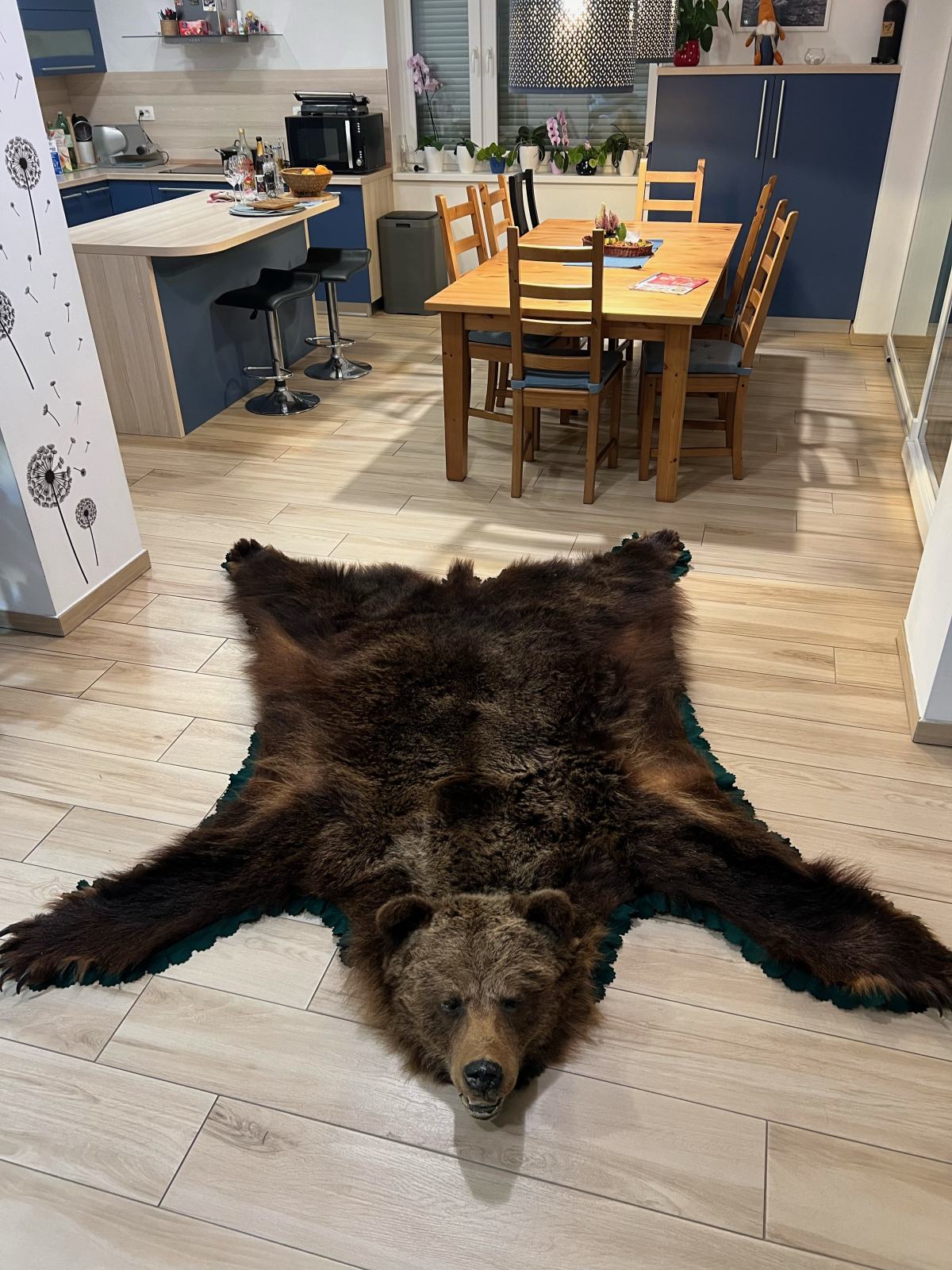 Lovska trofeja - Nagačen medved / ustrojena koža medveda z glavo