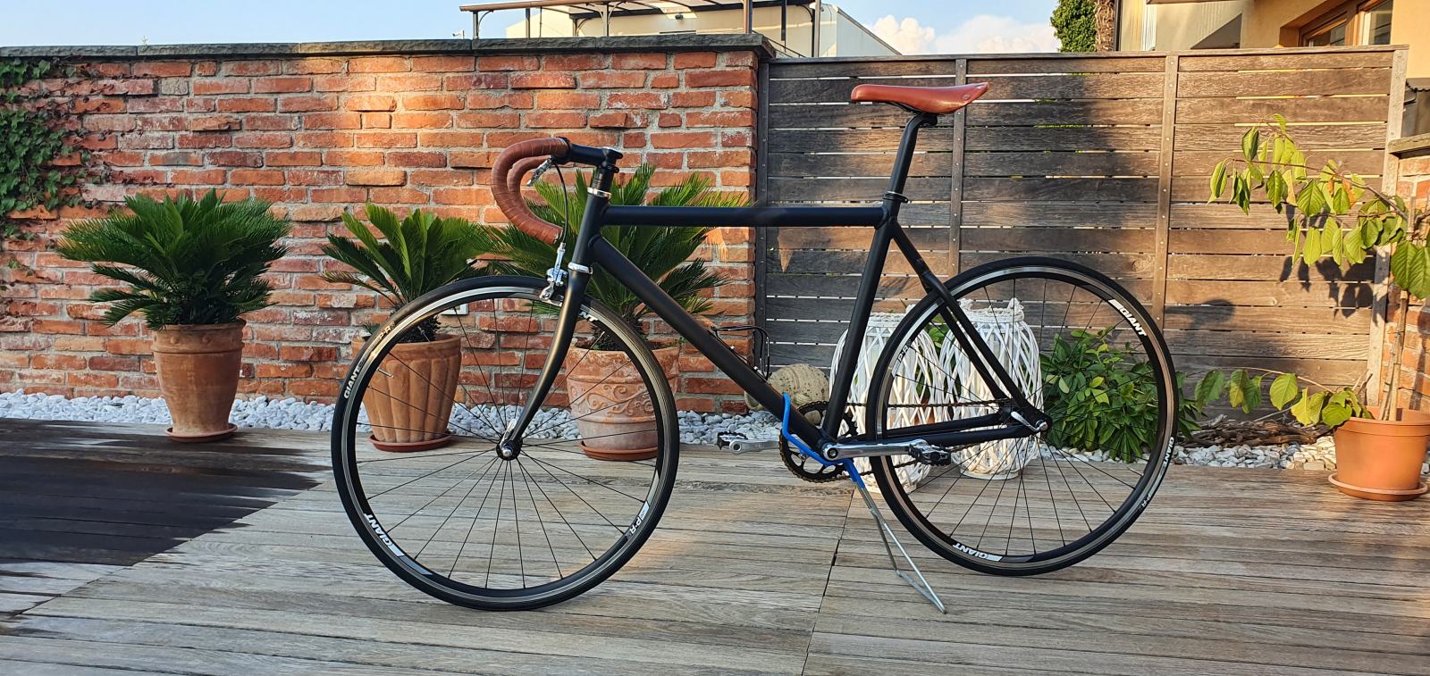 Giant Single Speed kolo