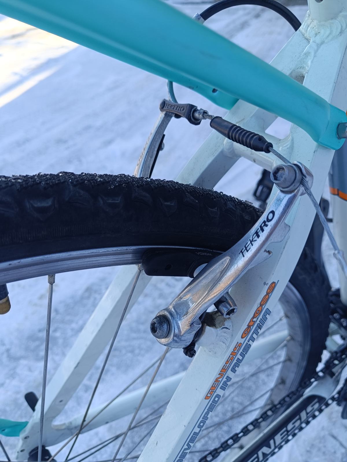 mestno zensko kolo genesis