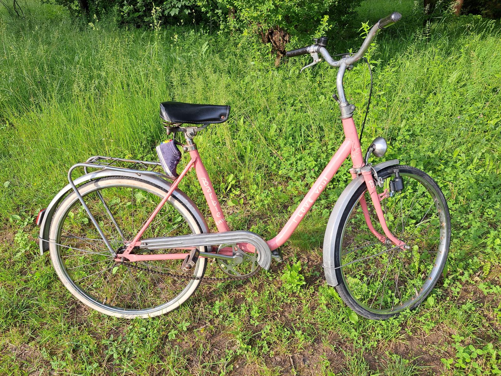 Kolo Rog poni 24 col