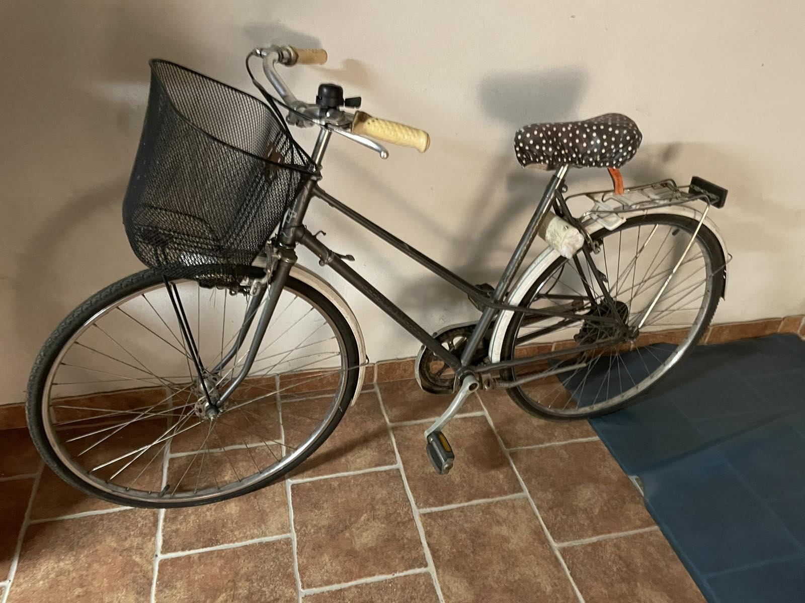 Žensko kolo na prestave