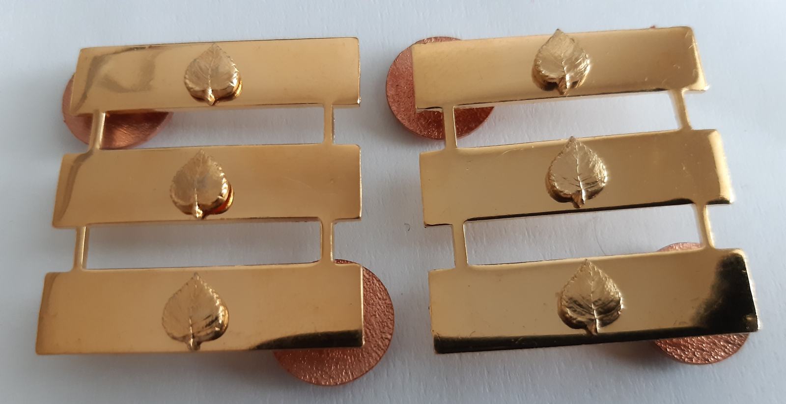 Čin Nadporočnik Slovenska vojska zlat