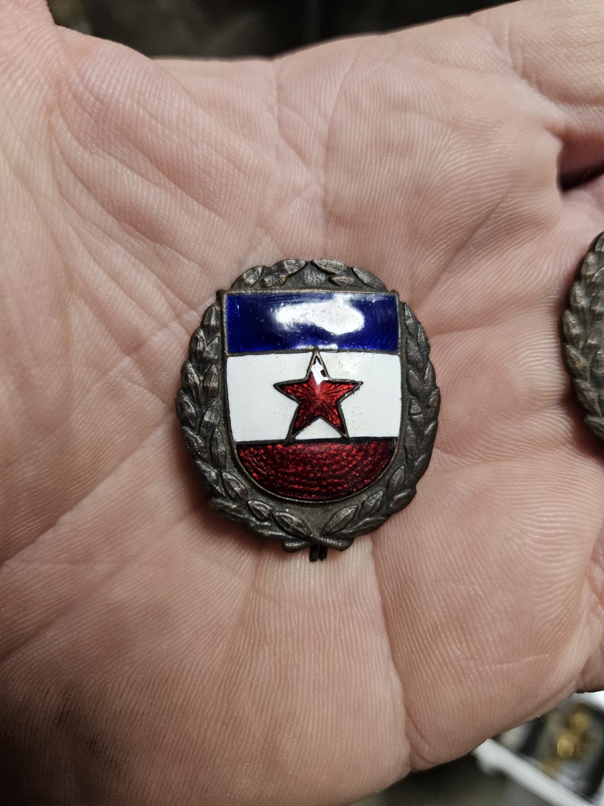 Kokarda partizanska zelo redko
