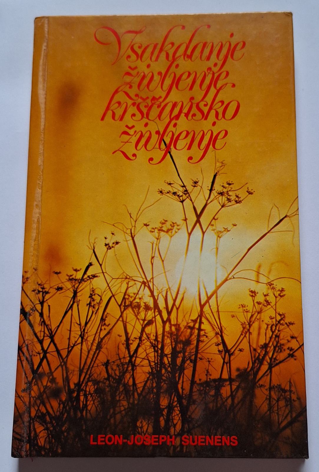 Leon-Joseph Suenens, Vsakdanje življenje krščansko življenje