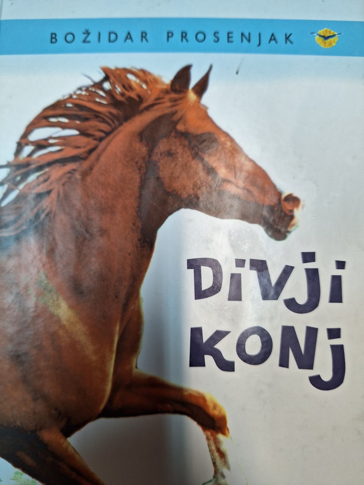 BOŽIDAR PROSENJAK DIVJI KONJ
