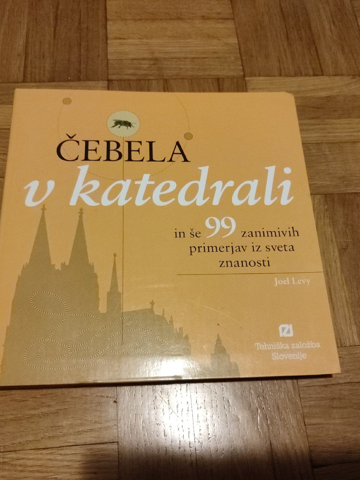 Čebela v katedrali