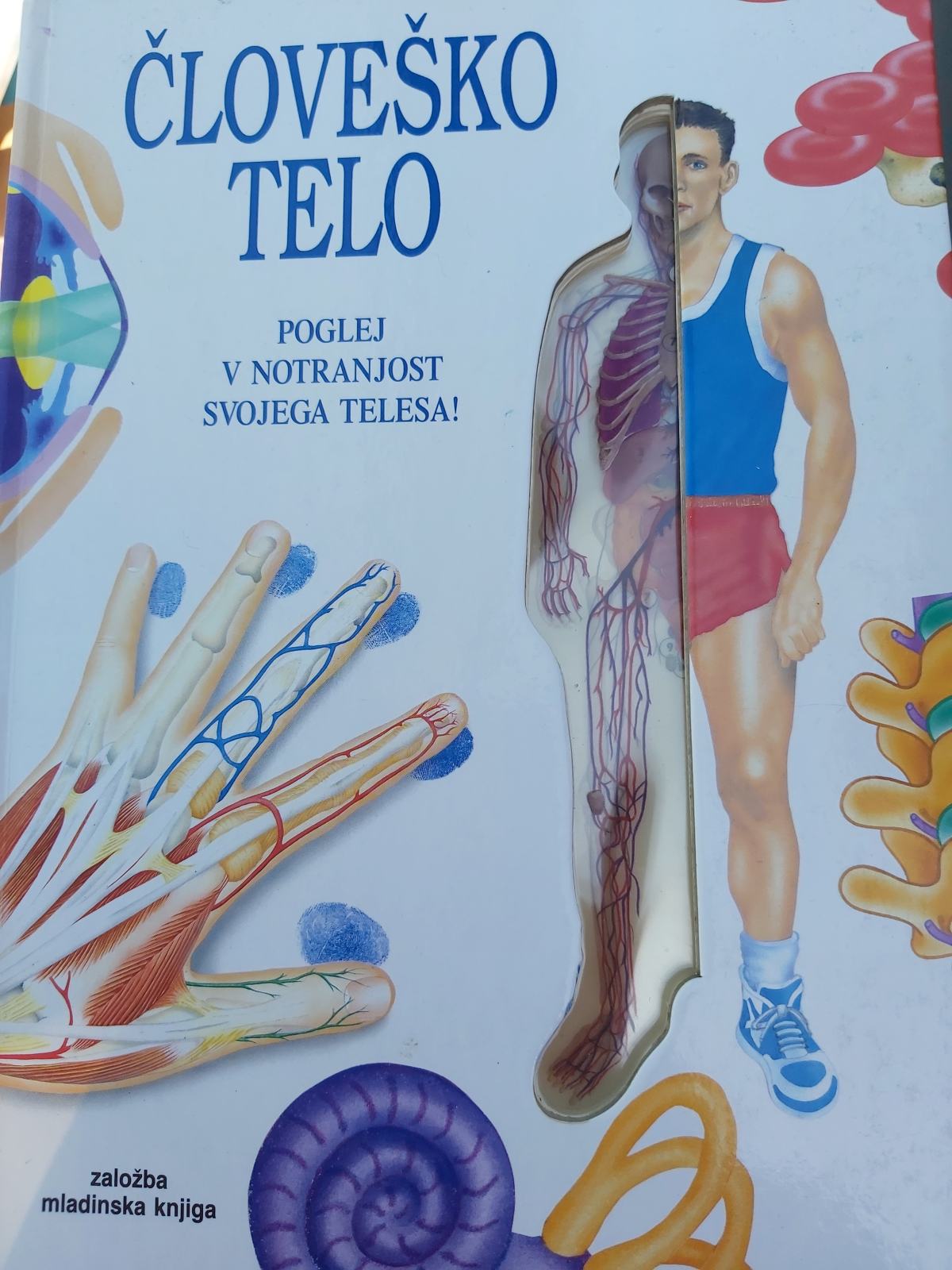 ČLOVEŠKO TELO POGLEJ V NOTRANJOST SVOJEGA TELESA!