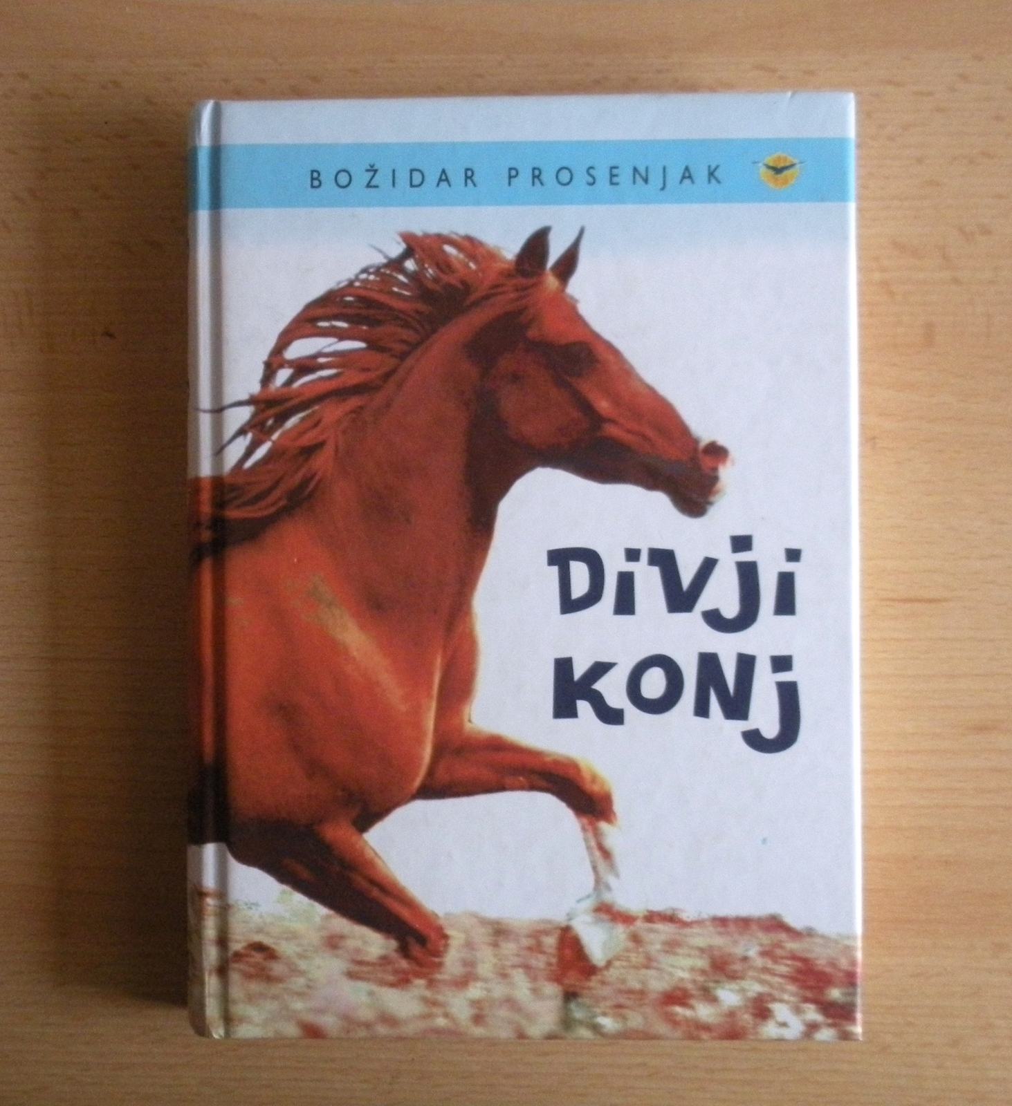 DIVJI KONJ, Božidar Prosenjak