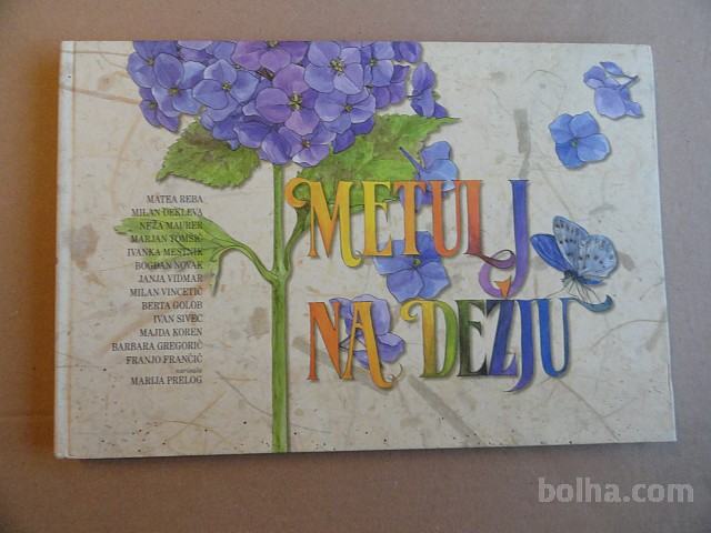 METULJ NA DEŽJU