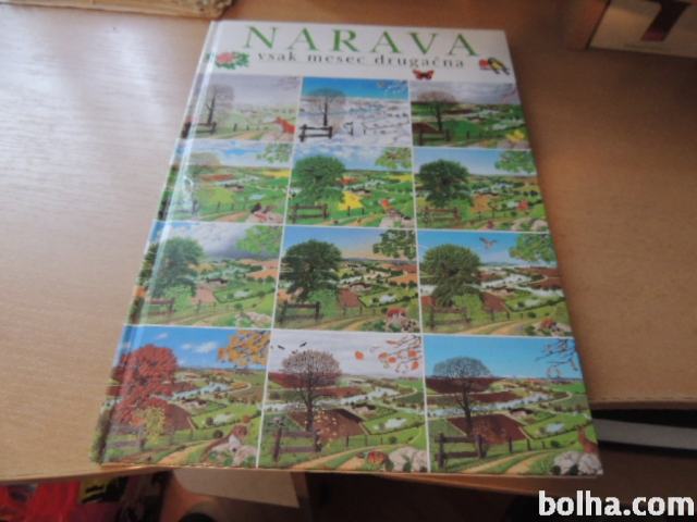 NARAVA VSAK MESEC DRUGAČNA R. METTLER MLADINSKA KNJIGA 1999