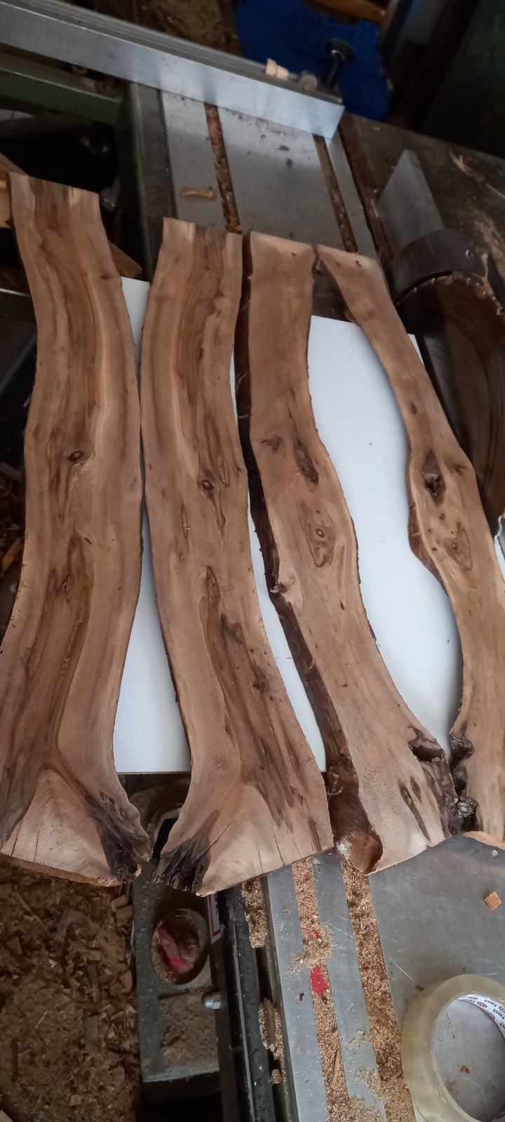 Les oreh, suh, dim., 75x10x1,5 cm