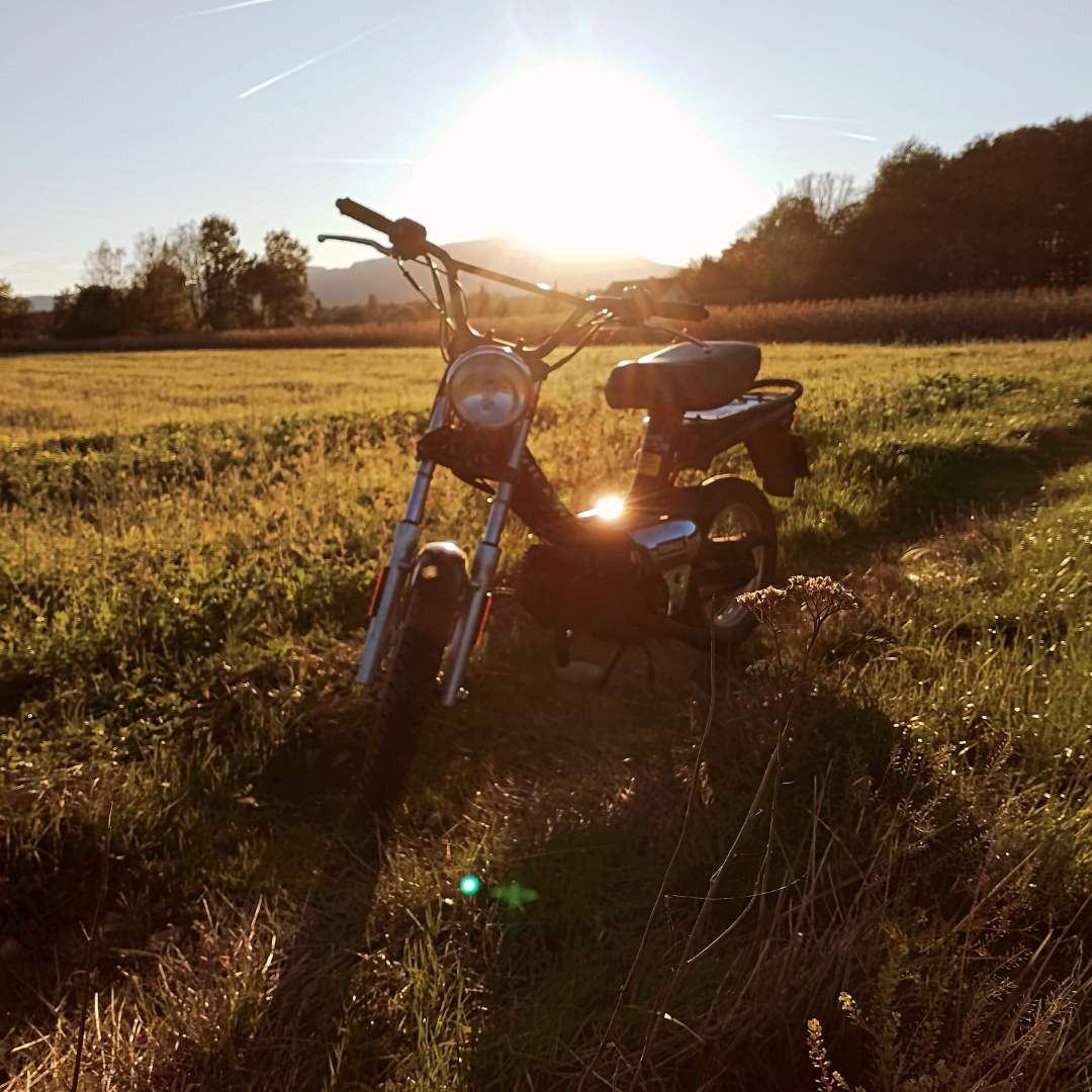 Tomos Flexer 49 cm3, 2017 l.