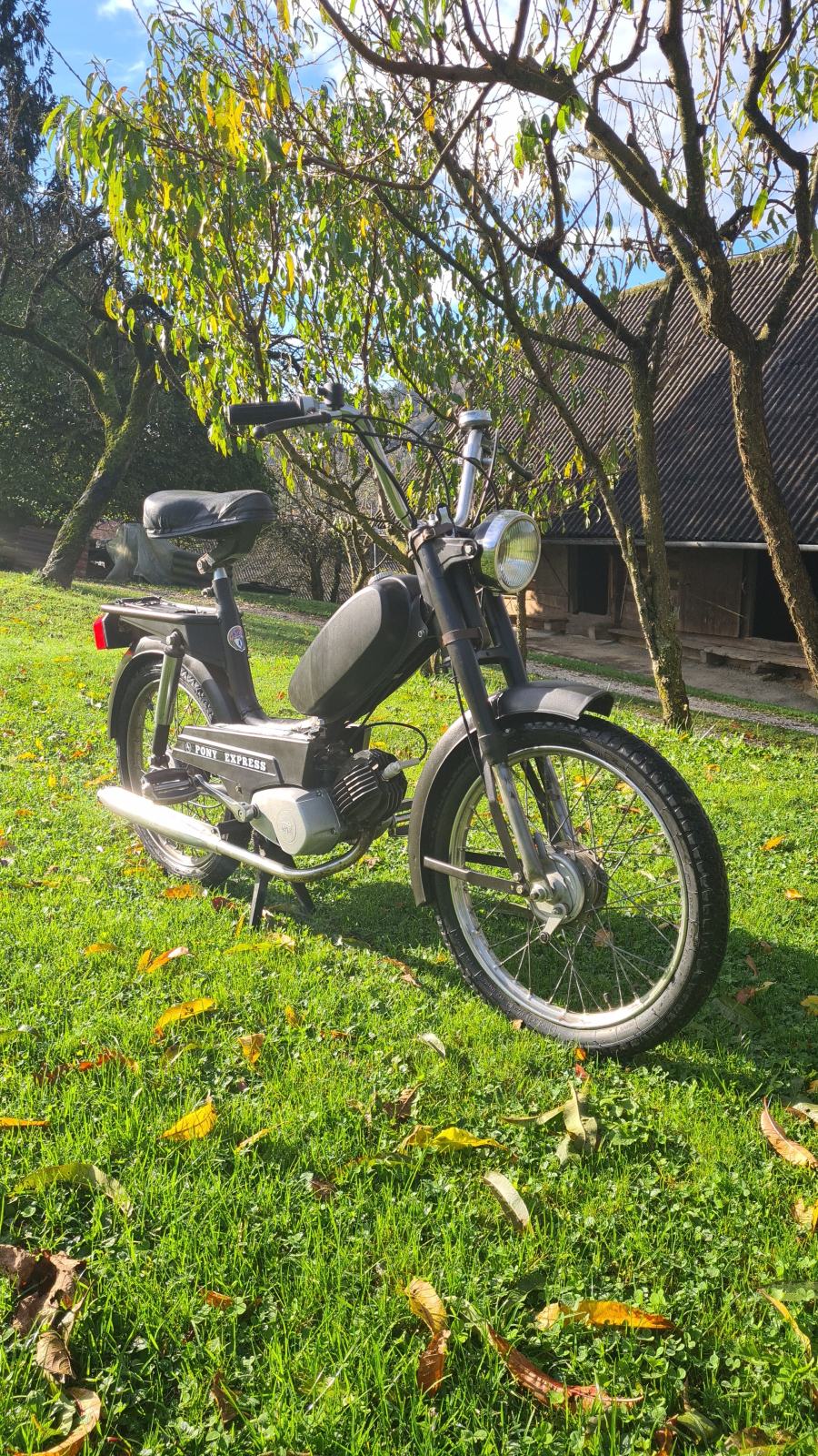 Tomos Rog pony express 49 cm3, 1980 l.
